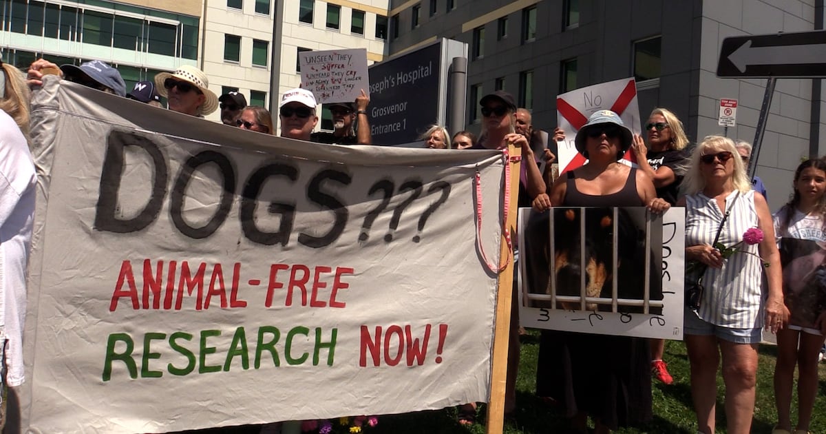 Dog Testing Protest Ontario Hospital Sparks Rally - Media Wall News